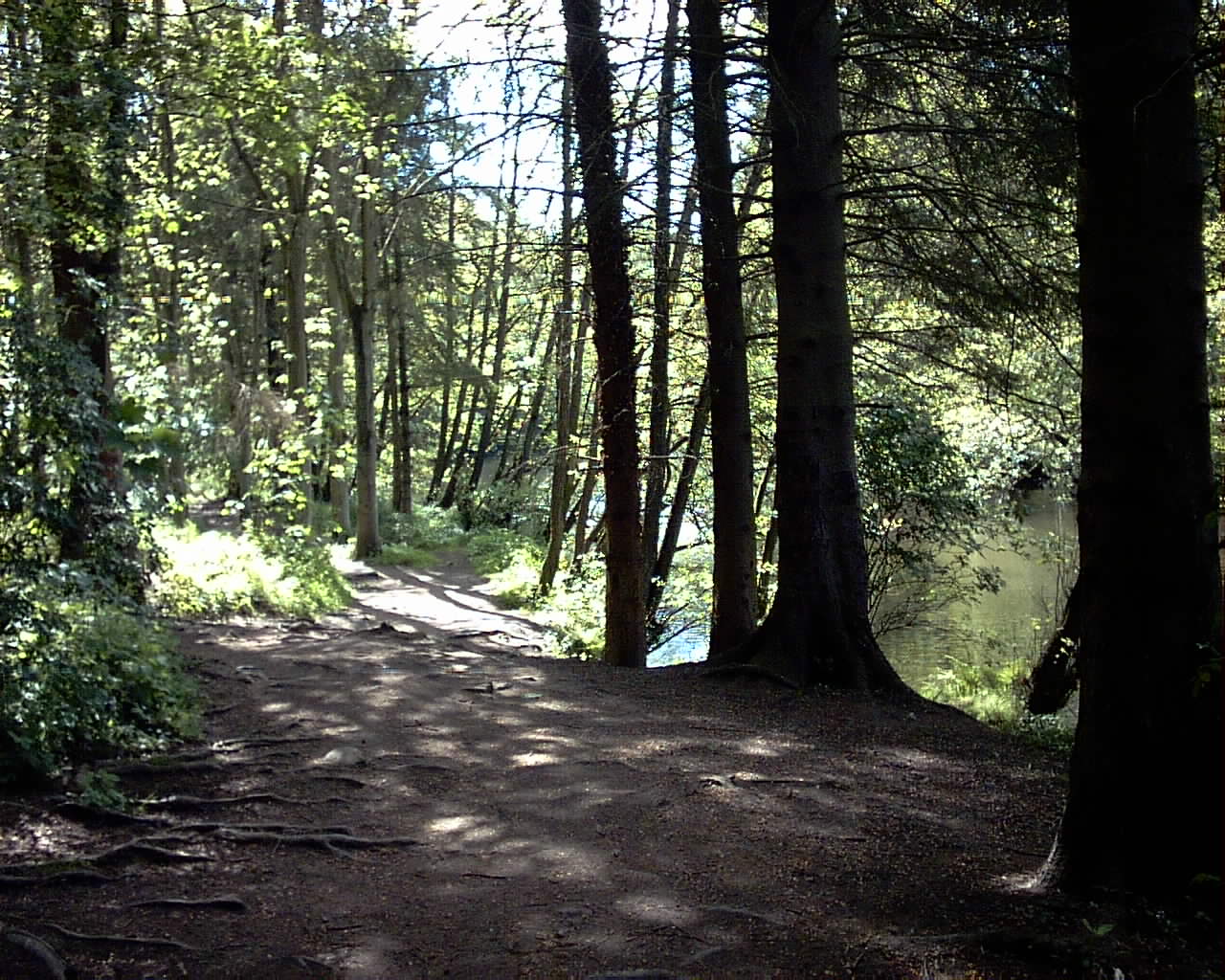 Pictures Taken From My Walks Through Knaresborough Nidd Gorge And Lower ...