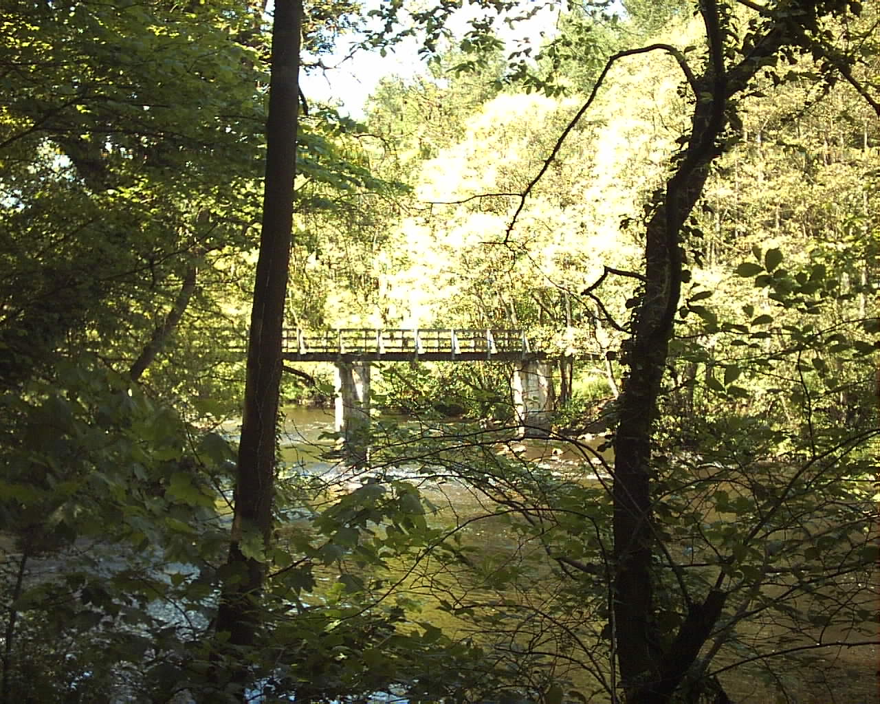 Pictures Taken From My Walks Through Knaresborough Nidd Gorge And Lower ...